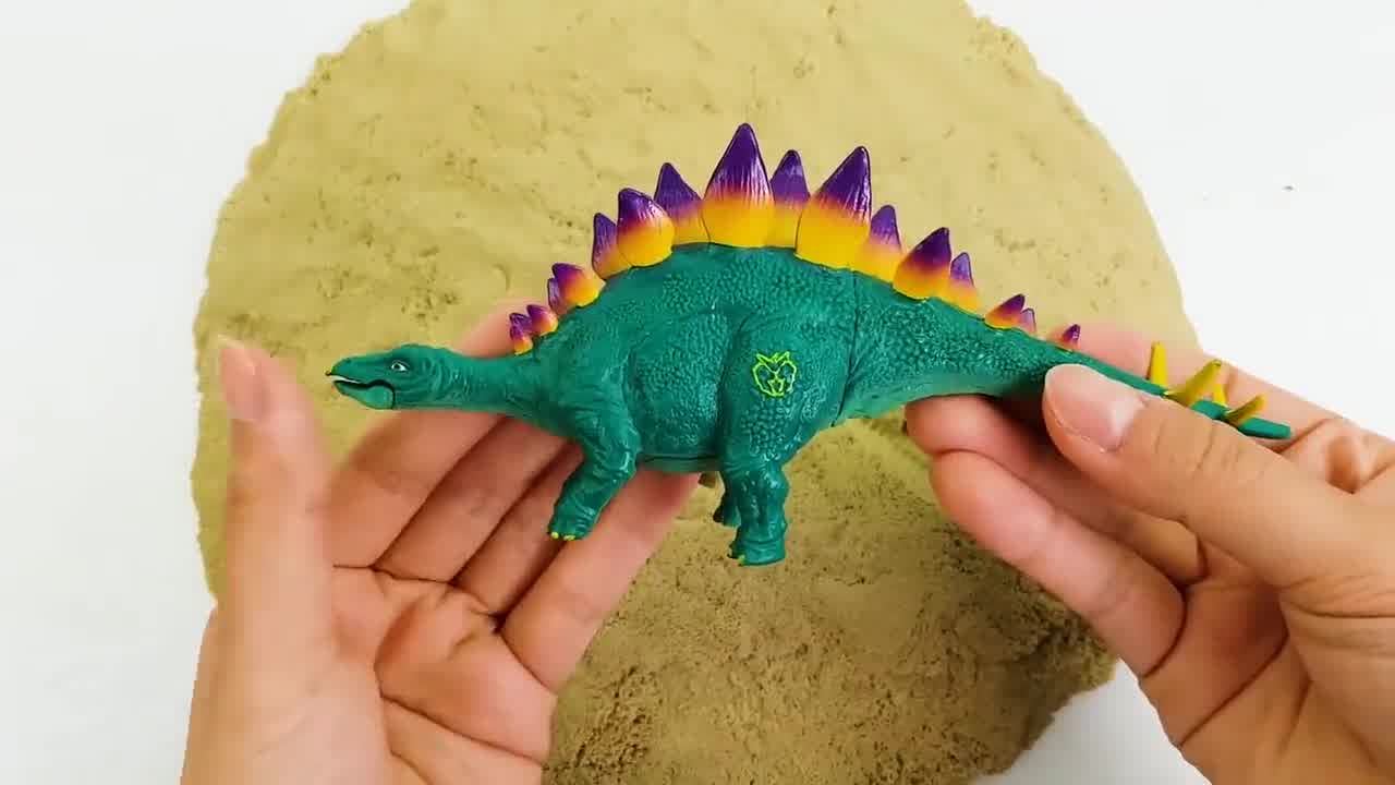 恐龙模型对比,宝宝开心早教益智