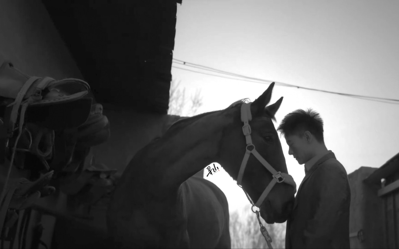 【演员李健】2023.04.13星月对话完整版