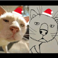 废柴研究所所长 