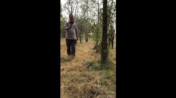 达特探测@德国GER黄金猎人远程地下金属探测器,金银探测器探宝器