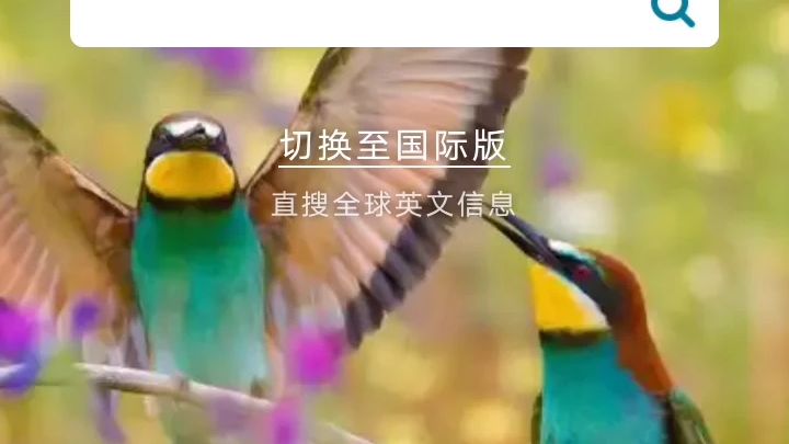 华为浏览器自定义首页,天天自动换主页壁纸