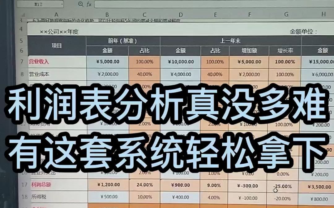 需要利润表分析的快来看