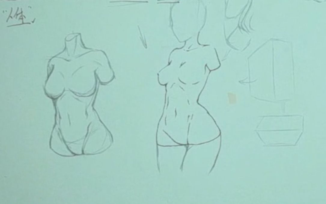 人体躯干线条的表现