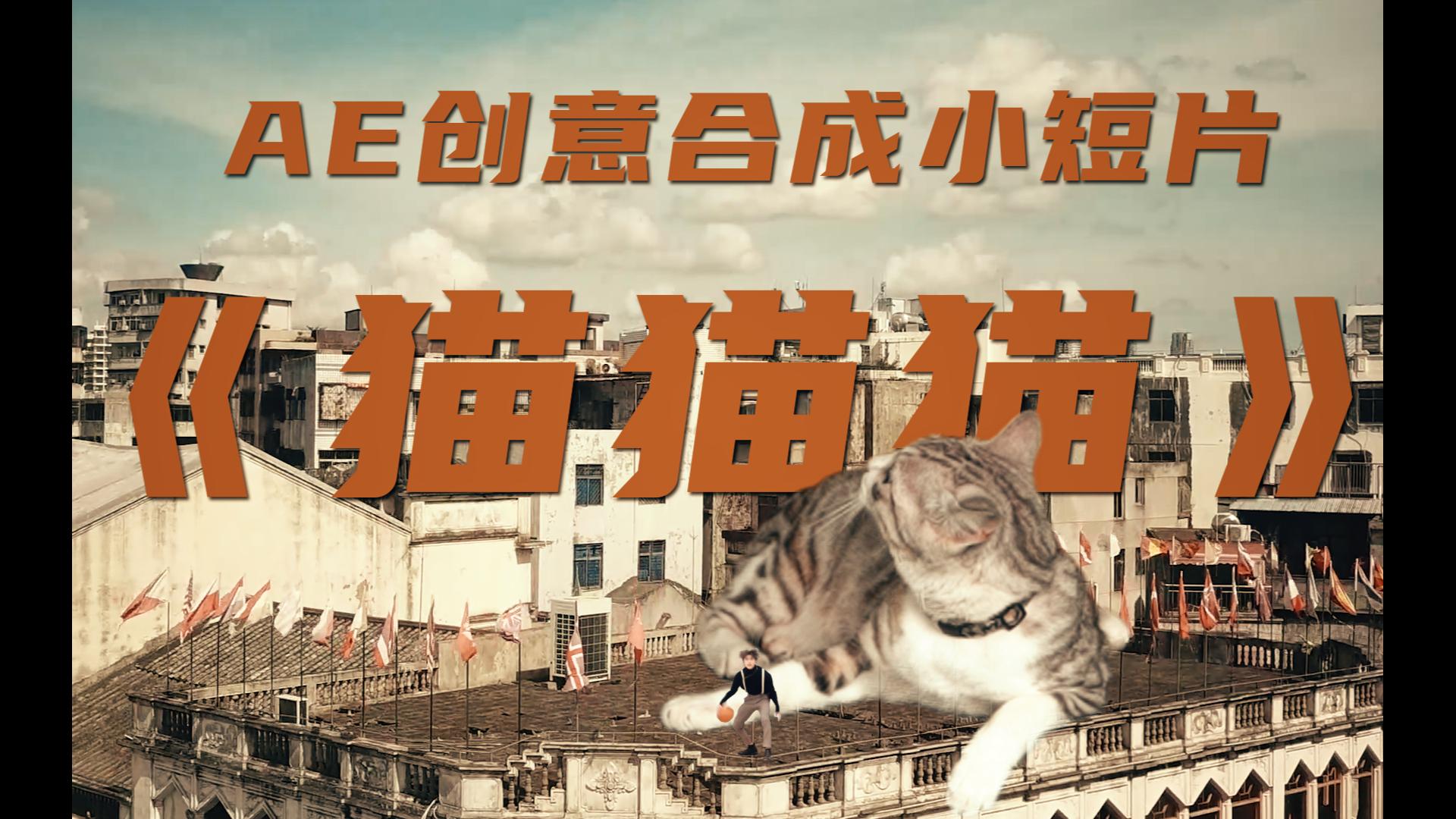 《 猫 猫 猫 》我用5毛钱绿布白嫖的一个巨猫小片子【AE创意小视频】