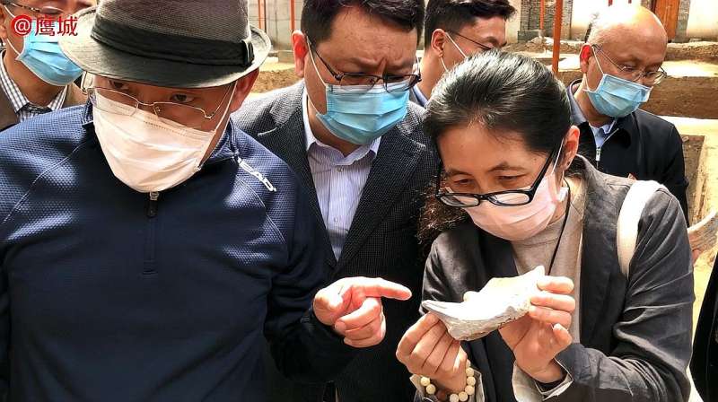 “文化名家鹰城行”建言献策暨集中创作活动启动