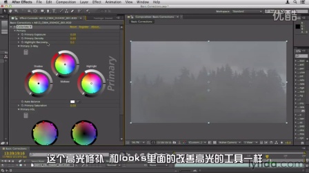 《红巨星高端插件套装Magic Bullet Suite 11全面教程》第6章 colorista...