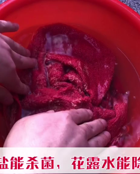 毛巾最简单的杀菌消毒法,家家户户都用得到,赶快来学习一下