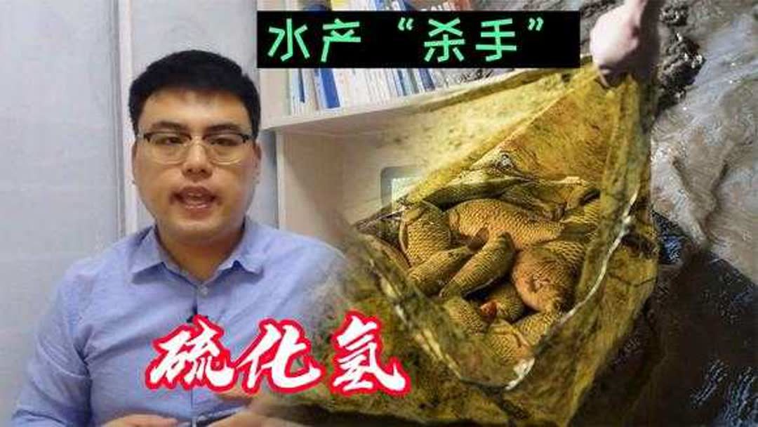 水产养殖第一杀手,硫化氢的危害以及5个有效防控步骤