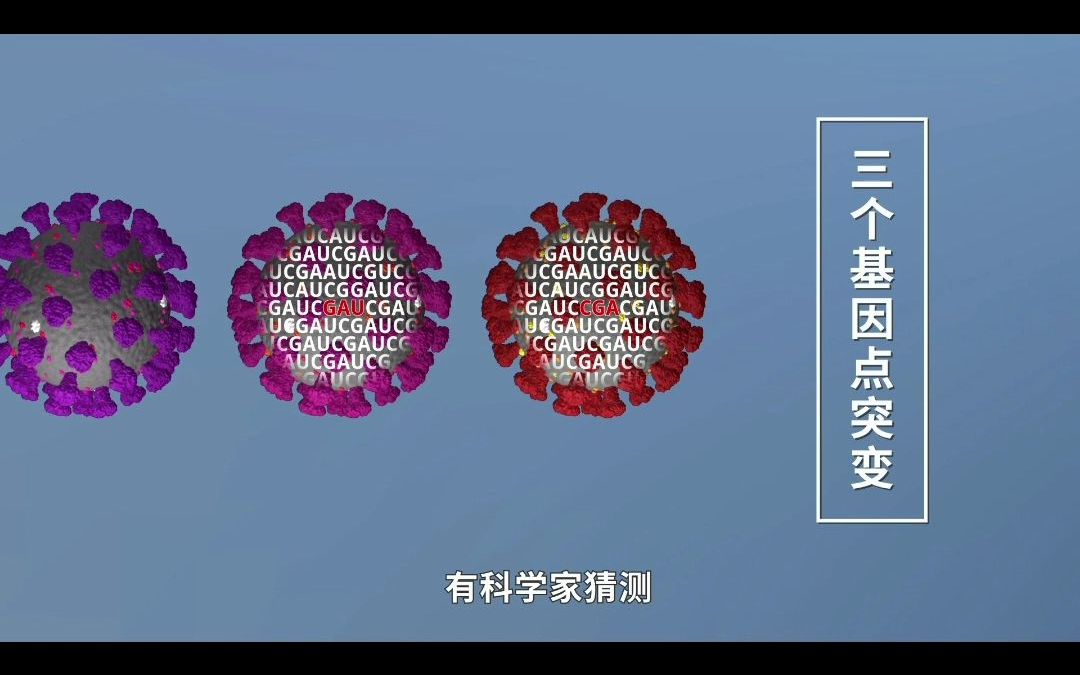新冠3:新冠病毒是从2002年的SARS演化而来的吗?