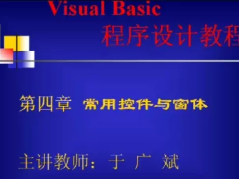 VB程序设计及应用 第四章第一节 单选钮和检查框