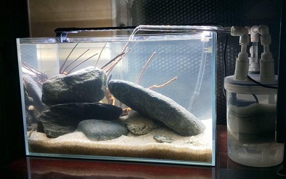 自制水景缸 DIY过滤桶