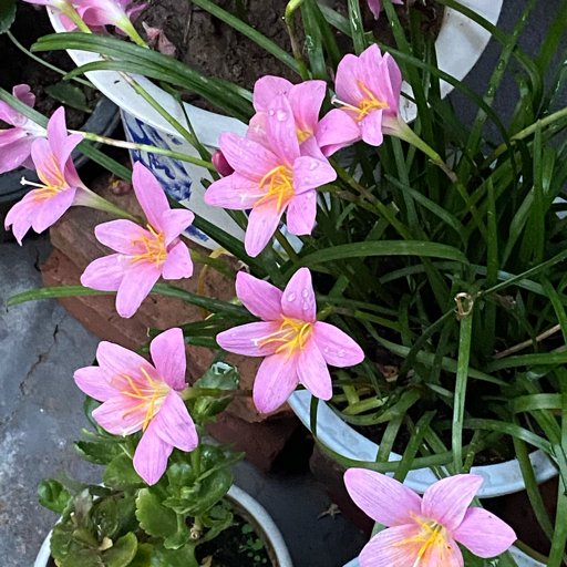 远近速迟逍遥过 