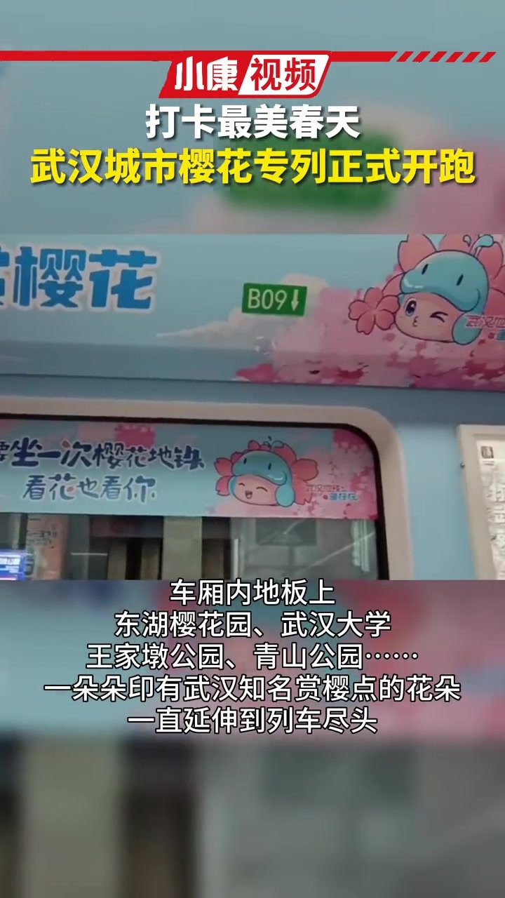 打卡最美春天,武汉城市樱花专列正式开跑