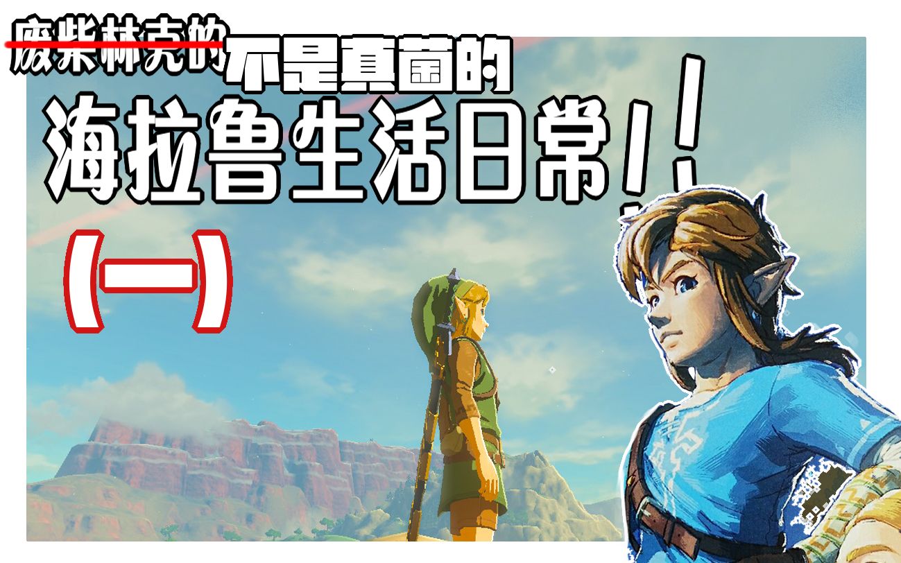 废柴林克的海拉鲁生活日常片段合集[塞尔达传说-不是真菌/假菌]