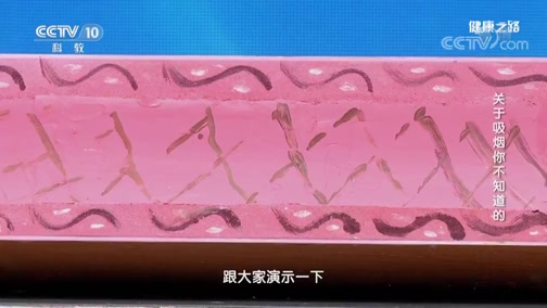 [健康之路]关于吸烟你不知道的 吸烟会造成心血管疾病