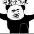 烏鸦做飞机 