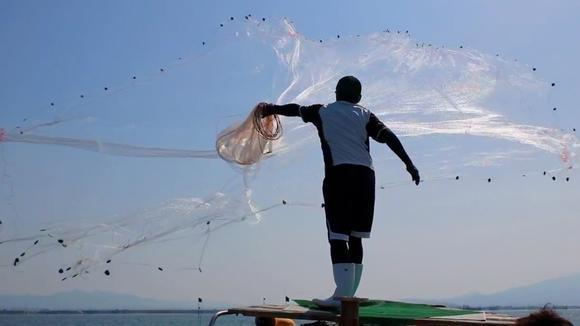 撒网打鱼:渔网很大,收获很不错