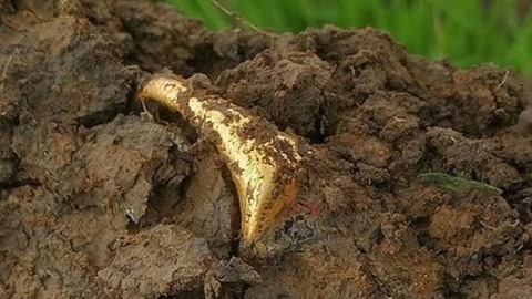 工人在地里挖出300年前金戒指,估价200万,为何博物馆却拒收?