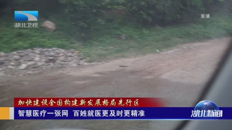 [湖北新闻]加快建设全国构建新发展格局先行区 智慧医疗一张网 百姓...