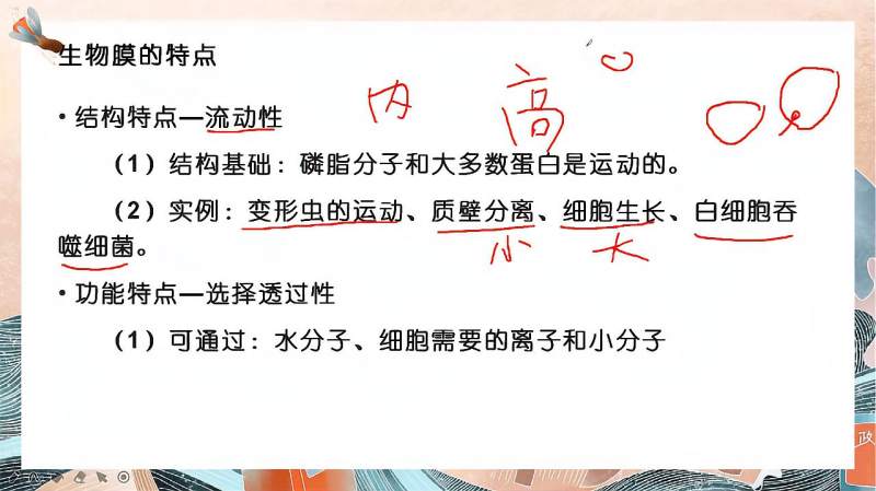 人教版高一生物必修1同步课:生物膜的流动镶嵌模型
