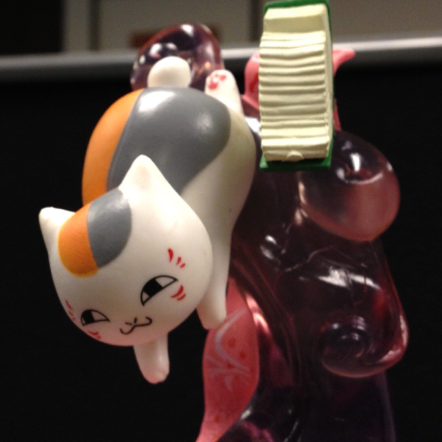 元宝鱼小圆 