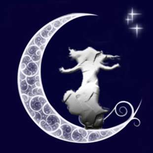 爱双月肚皮舞东方舞 