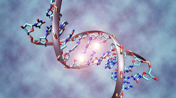 97%的DNA都是一种复杂的注释代码,真有外星文明动过手脚?