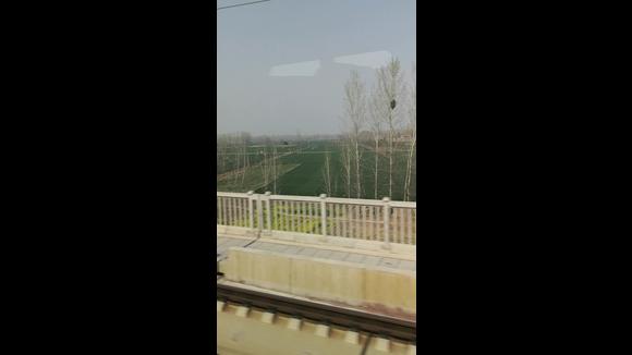 商丘到郑州的高铁上,春意盎然ߑ