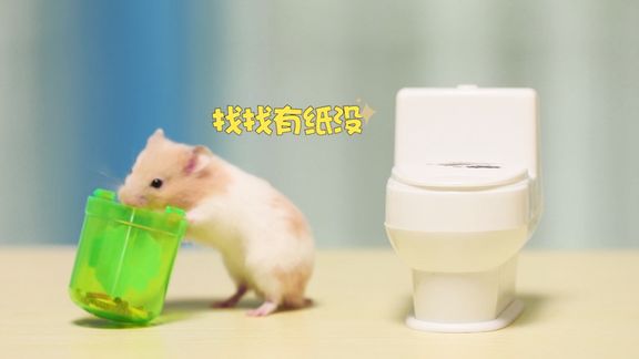 看小仓鼠如何机智处理上厕所忘记带纸