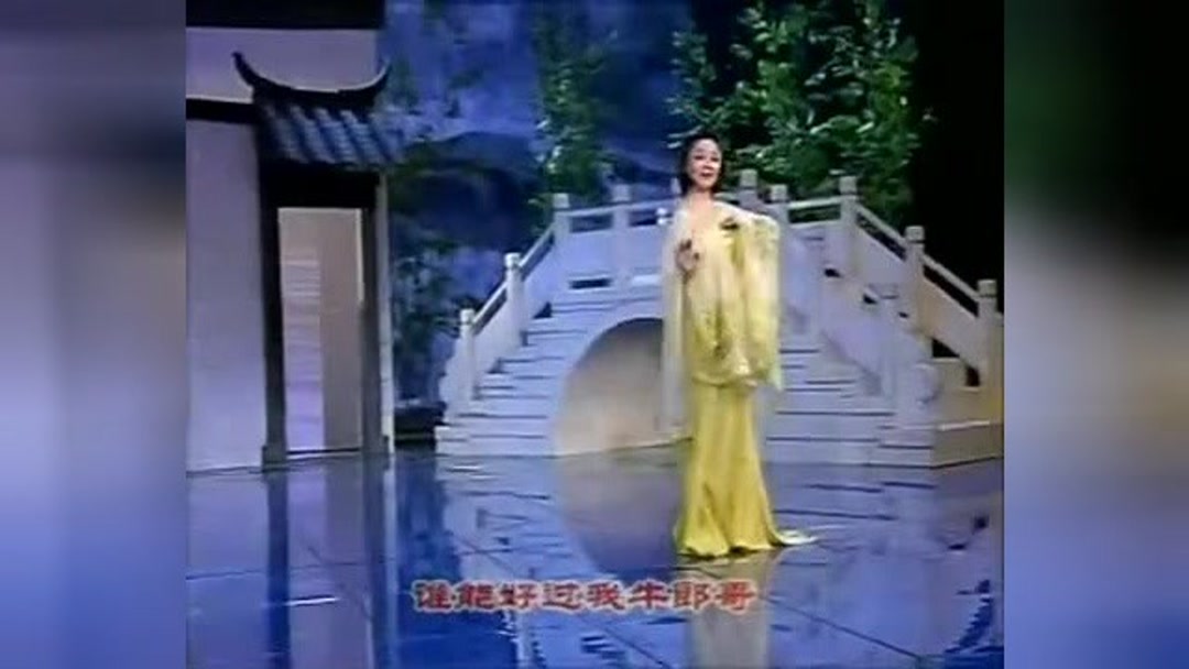 【黄梅戏】文化部十年春节晚会黄梅戏名家唱段