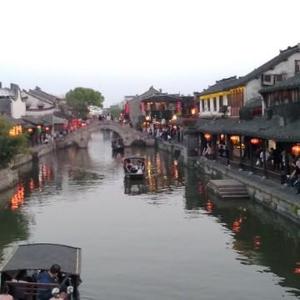潇洒柳叶t2 