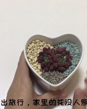 教你不花一分钱,制作自动浇花器,不再担心外出没人照顾花