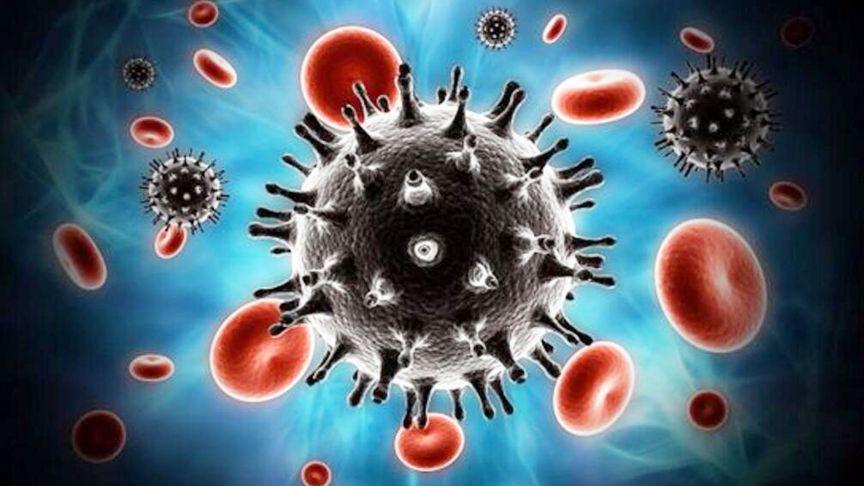 专家教你如何杀死HIV病毒