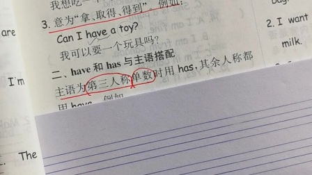 have 和has 用法讲解