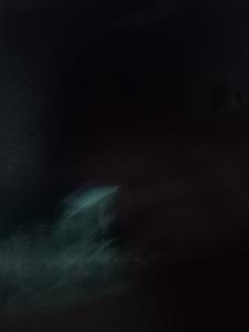 冰糖小仙女的铁粉永远的神 