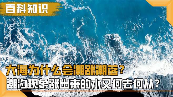 大海为什么会潮涨潮落?潮汐现象涨出来的水又何去何从?