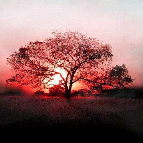 懂球弟带你看球 