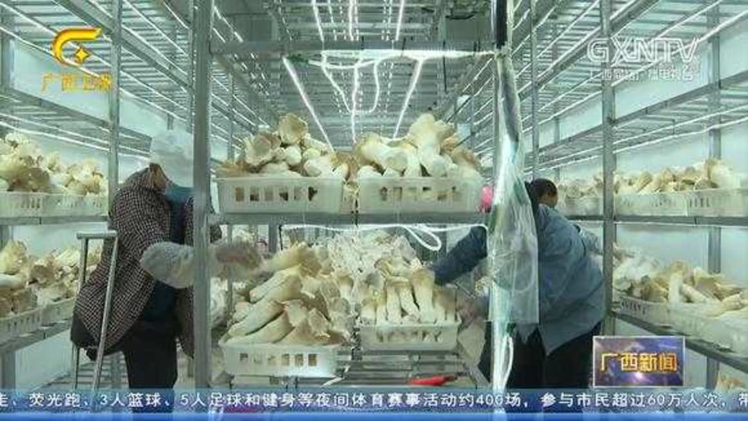 凭祥:巩固脱贫成效 决胜全面小康【全面建成小康社会】