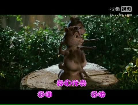 动物总动员+【通用+无水印