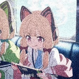 陆贾紫 