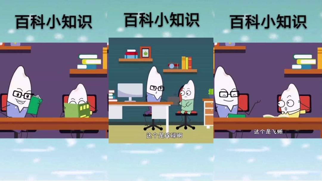 儿童益智早教:百科小知识 白糖是从哪里来的?