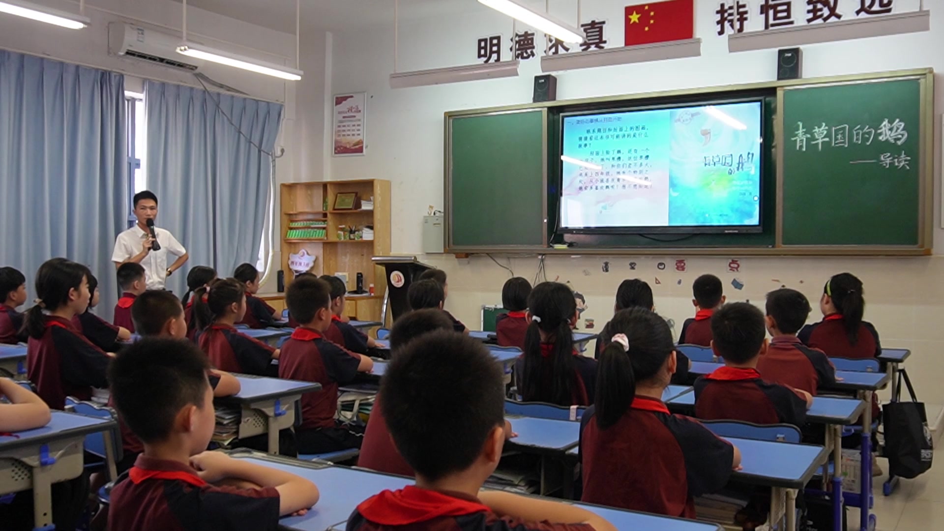 整本书阅读组四年级 《青草国的鹅》导读课