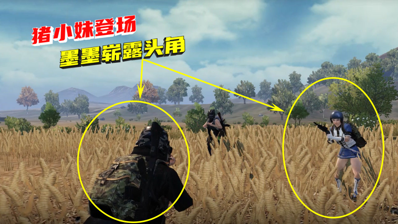 墨渊吃鸡24:枪神墨墨再次发威,在新成员猪小妹面前崭露头角