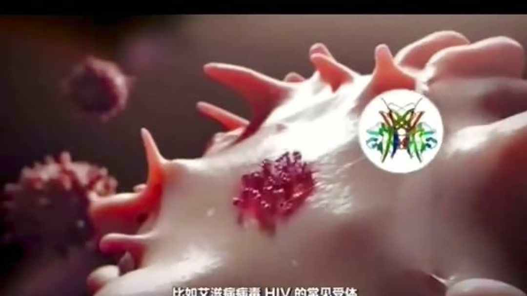 病毒是如何感染人类与传播