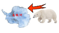 如果把北极熊送到南极,会发生什么?
