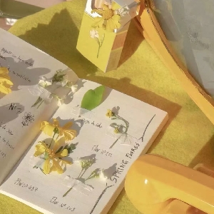 么么萱萱呀 