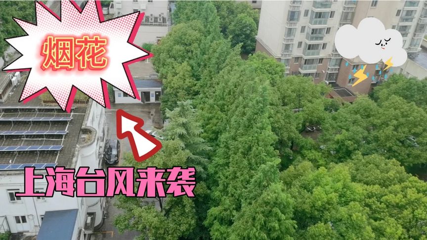 上海台风又来了,之前都是完美的插肩而过,今年会留下来吗?