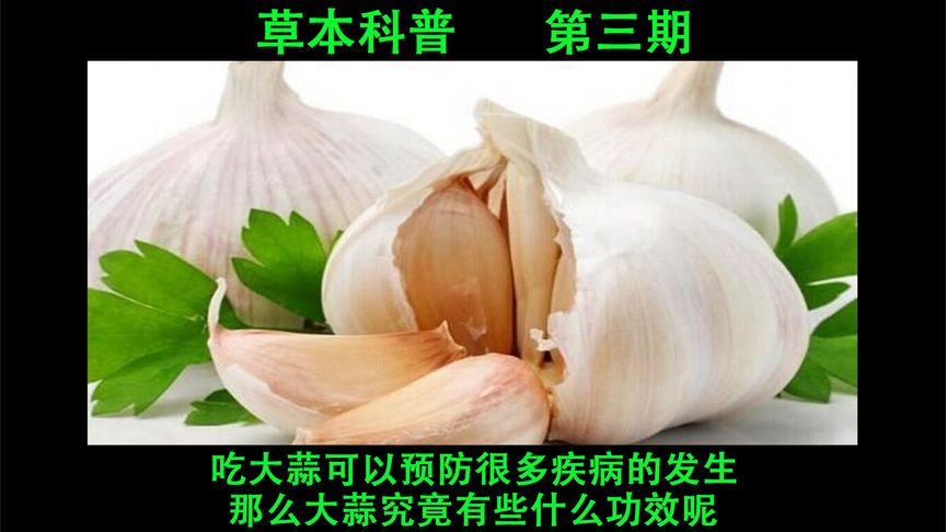 大蒜的功效及用途