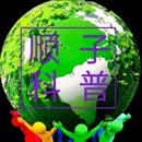 顺子科普 