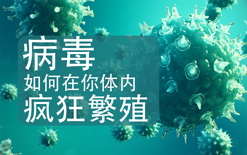 两分钟短动画解析病毒原理,回忆高中知识,简单易懂,知己知彼,百战不殆!